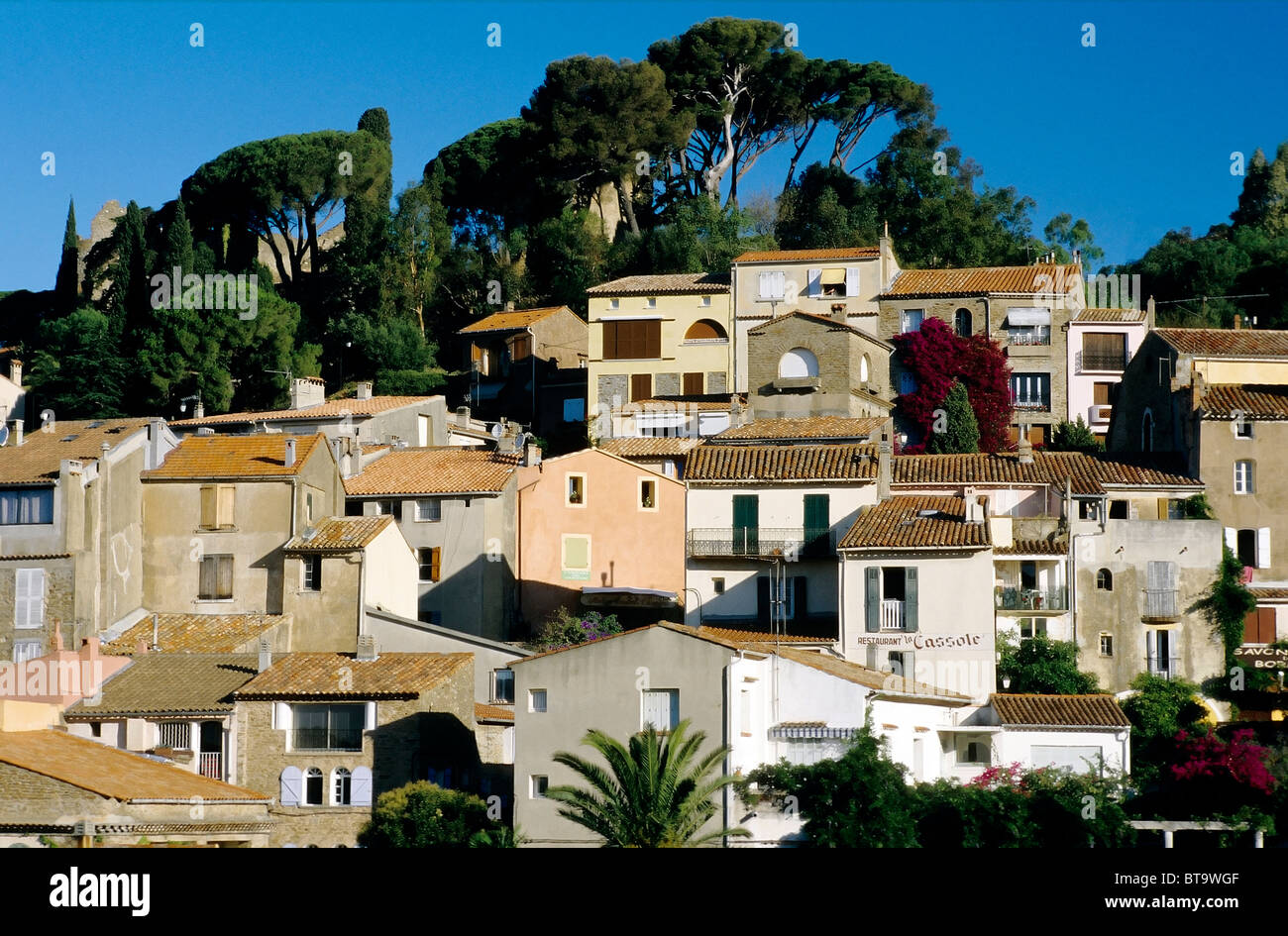 Bormes-les-Mimosas, Provence-Alpes-Cote d'Azur, Var, Southern France ...