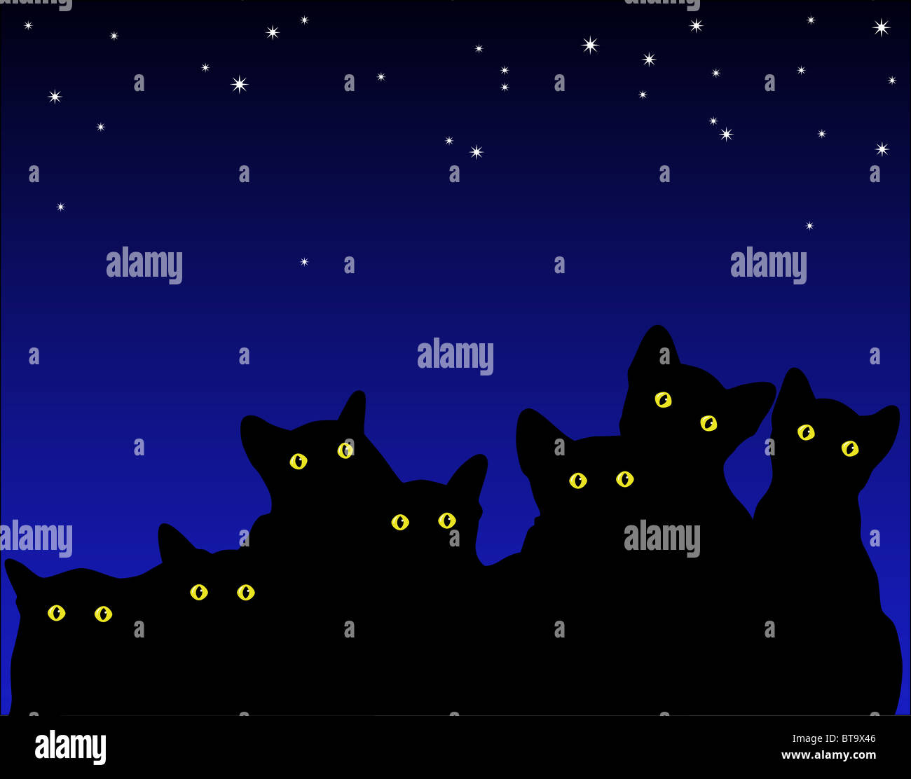 Cats Eyes In The Night Stars