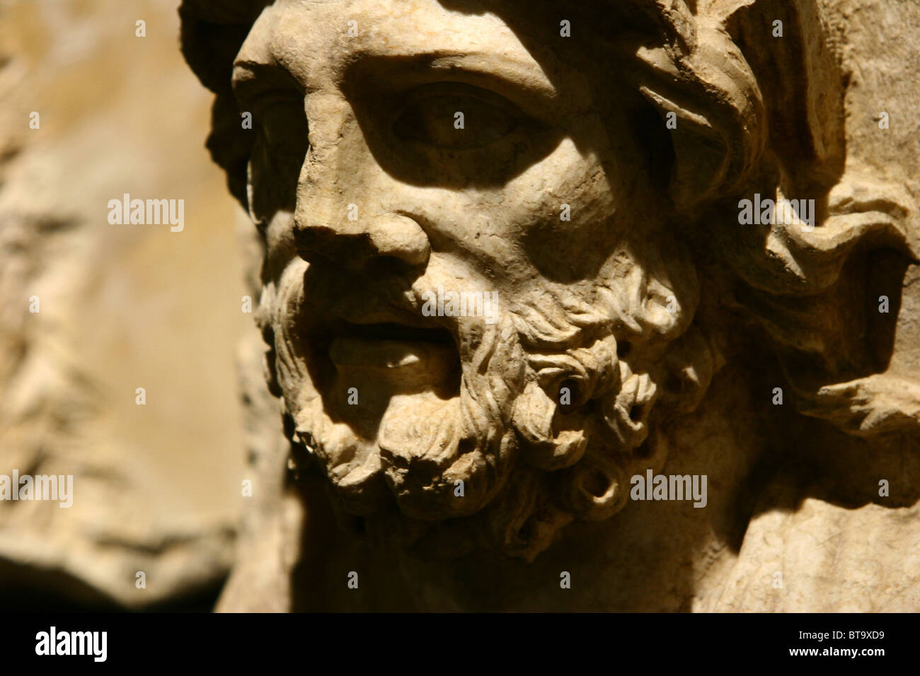 Concrete Poseidon Head Statue with Tillandsia Usneoides - Air plant Kit ...