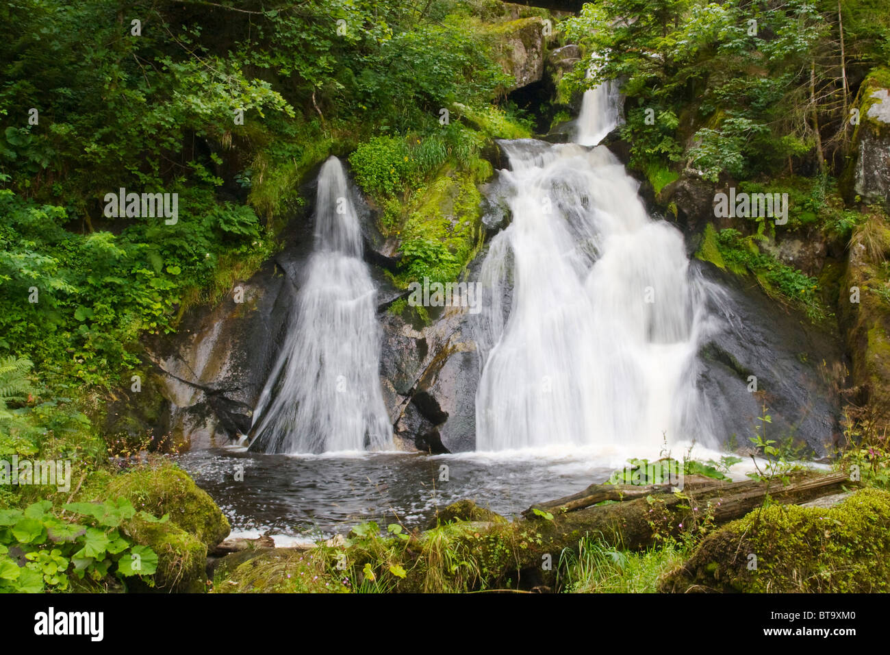 Triberg hi-res stock photography and images - Alamy