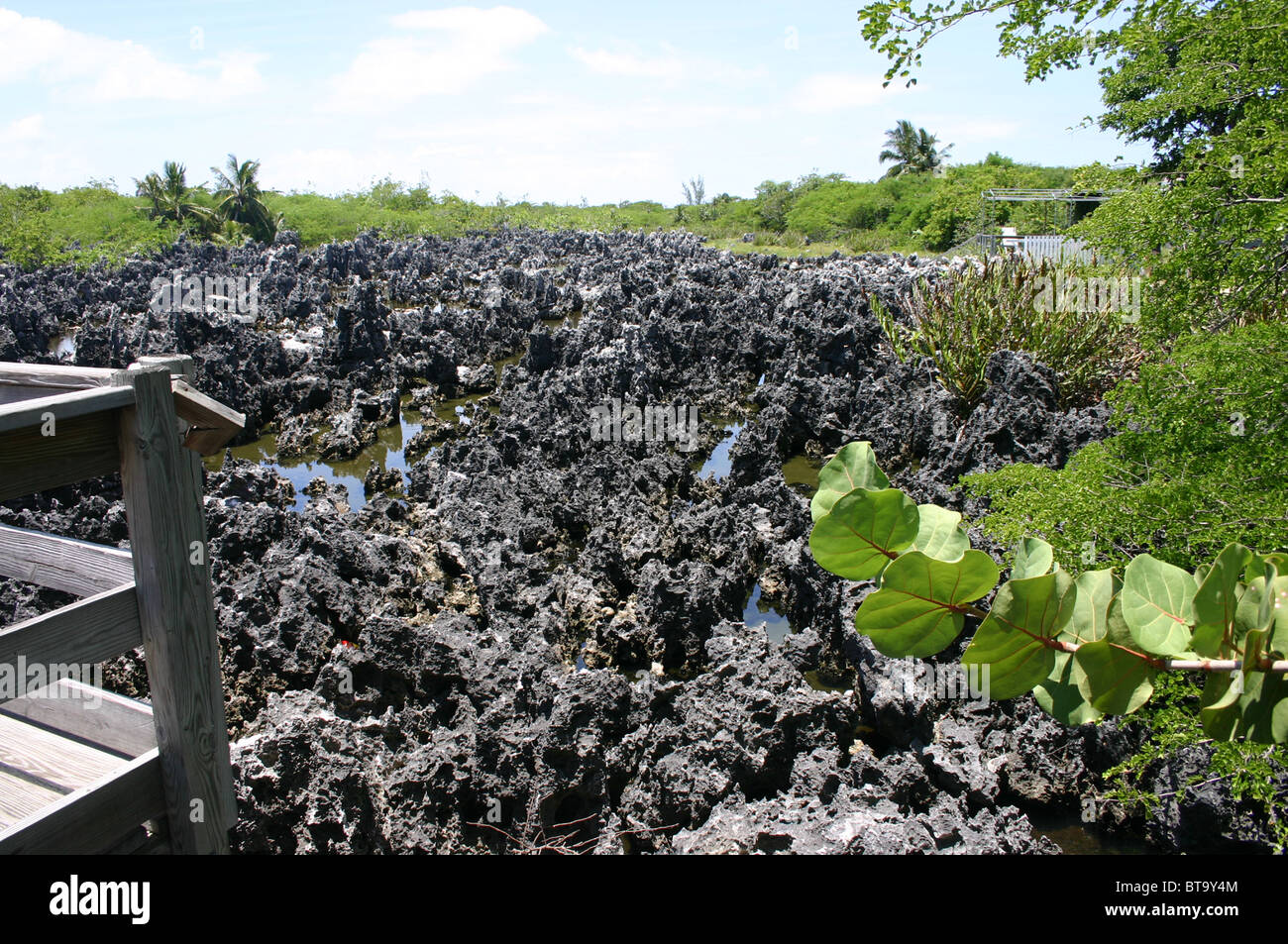 Hell Grand Cayman High Resolution Stock Photography and Images - Alamy
