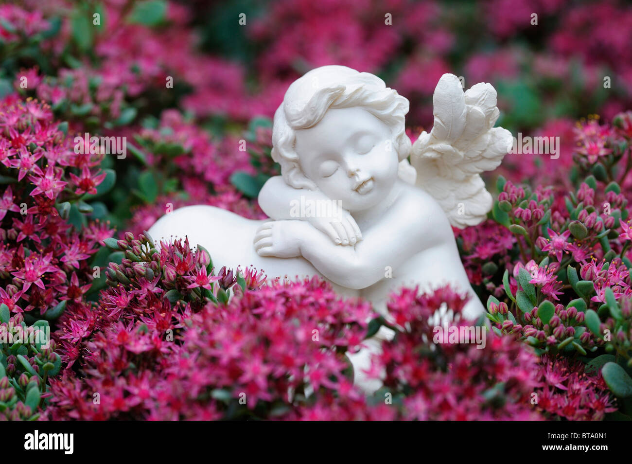 Angel figurine as a garden decoration in a flower bed Stock Photo - Alamy