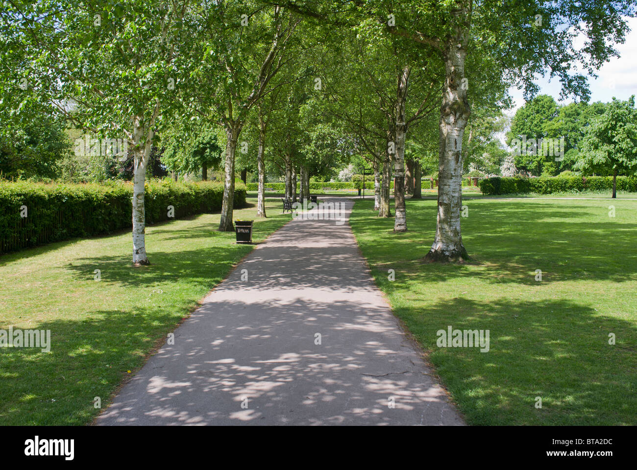 path through park Stock Photo - Alamy