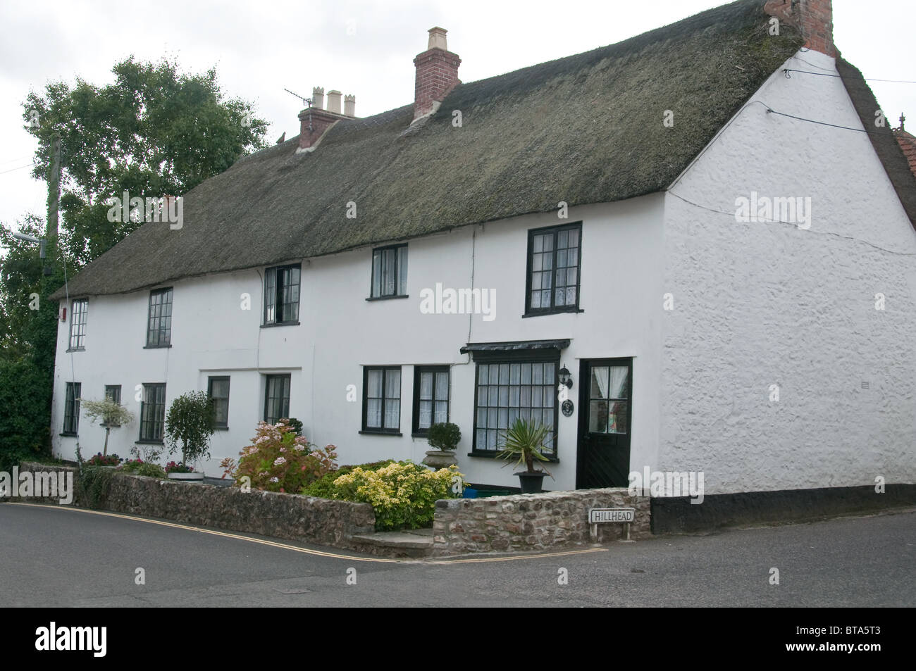 Thatched cottage in Devon Stock Photo - Alamy