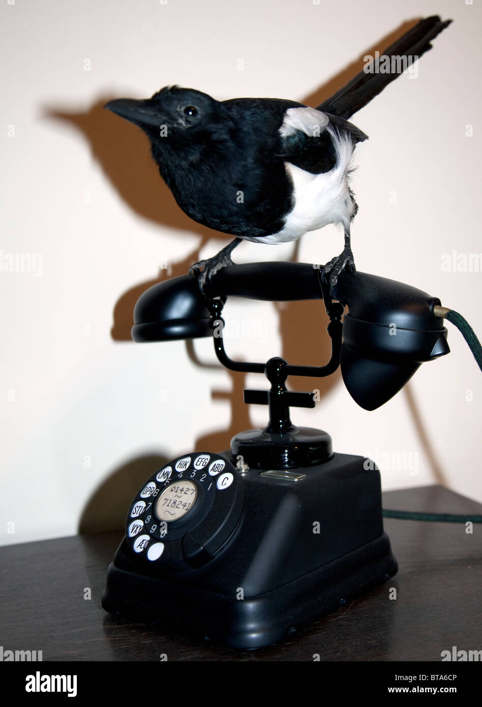 Sorrow by Polly Morgan at Moniker Art Fair, London Stock Photo - Alamy