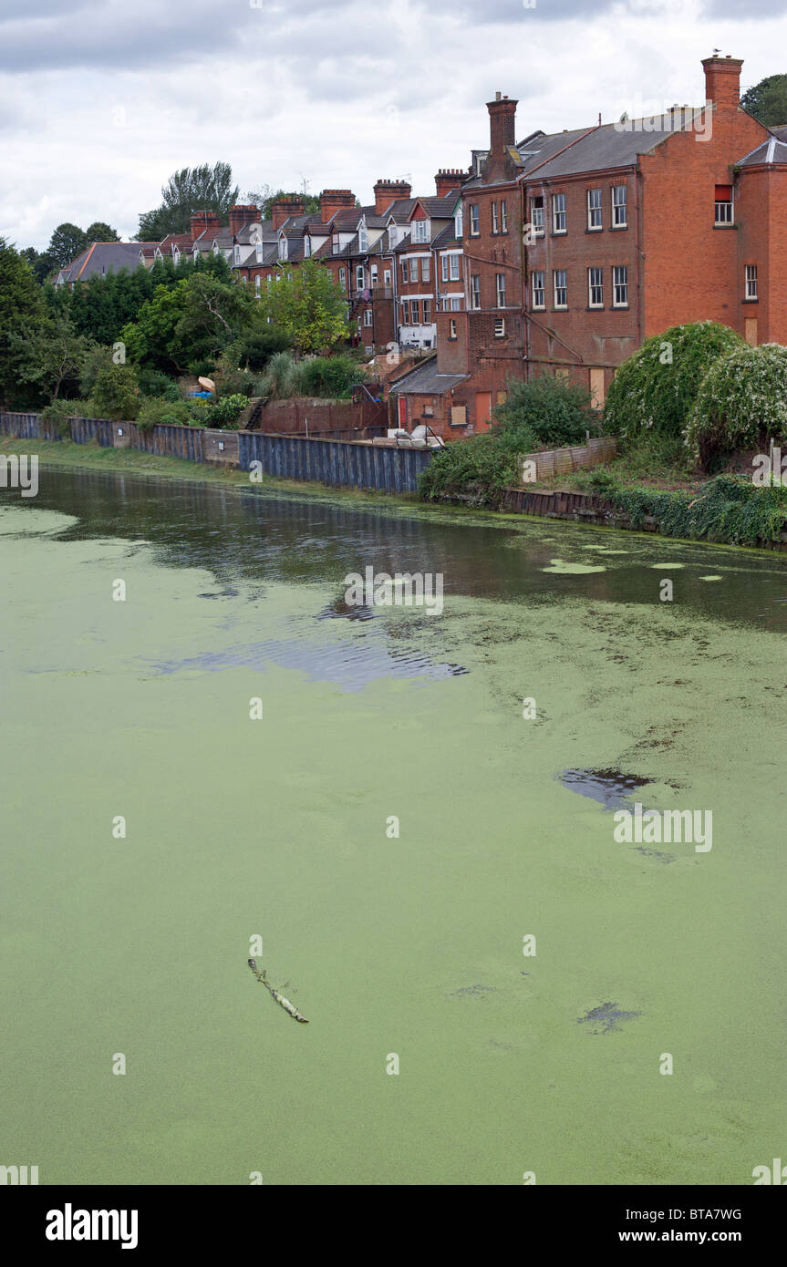 Ipswich river gipping hi-res stock photography and images - Alamy