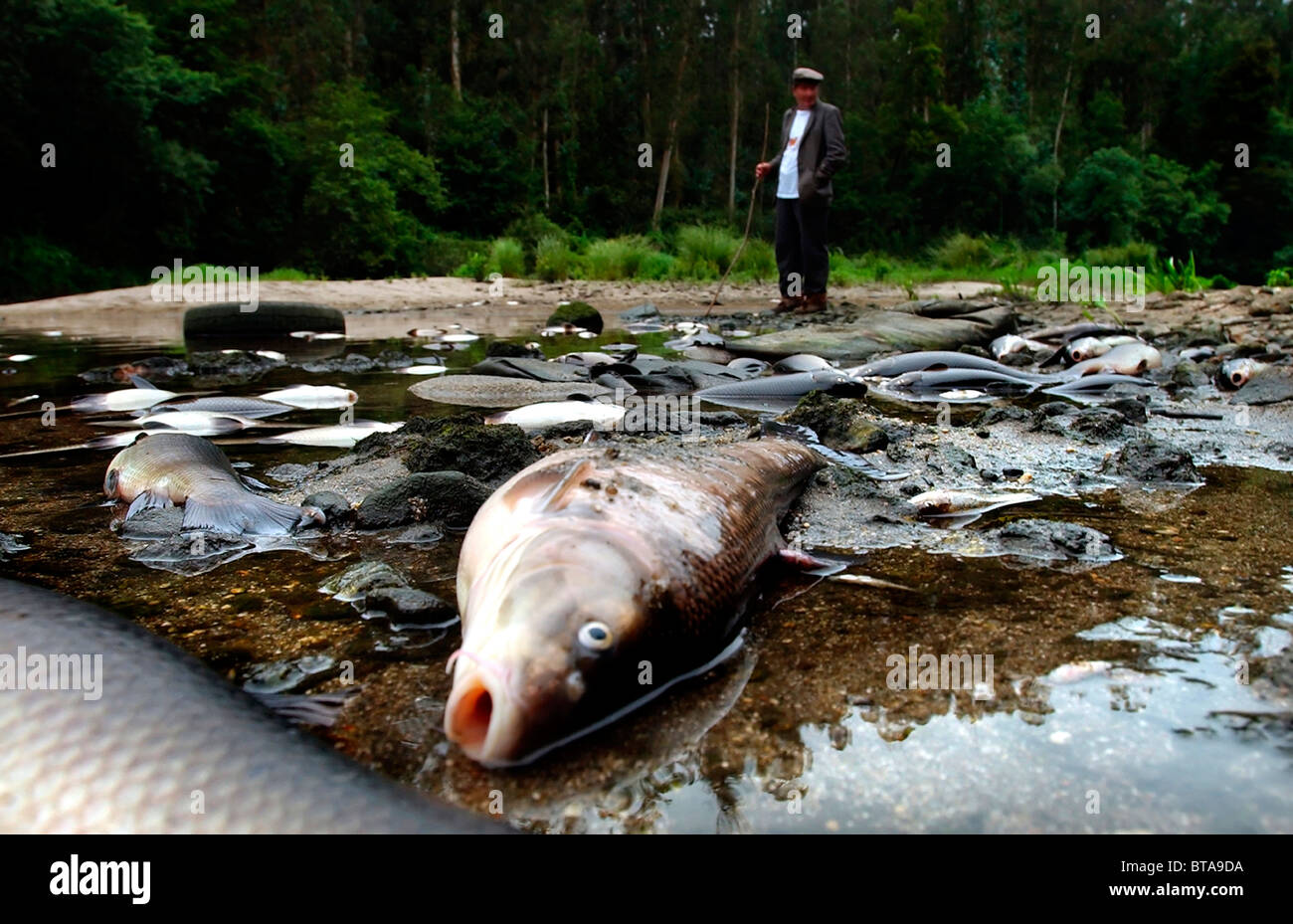 Descarga hi-res stock photography and images - Alamy