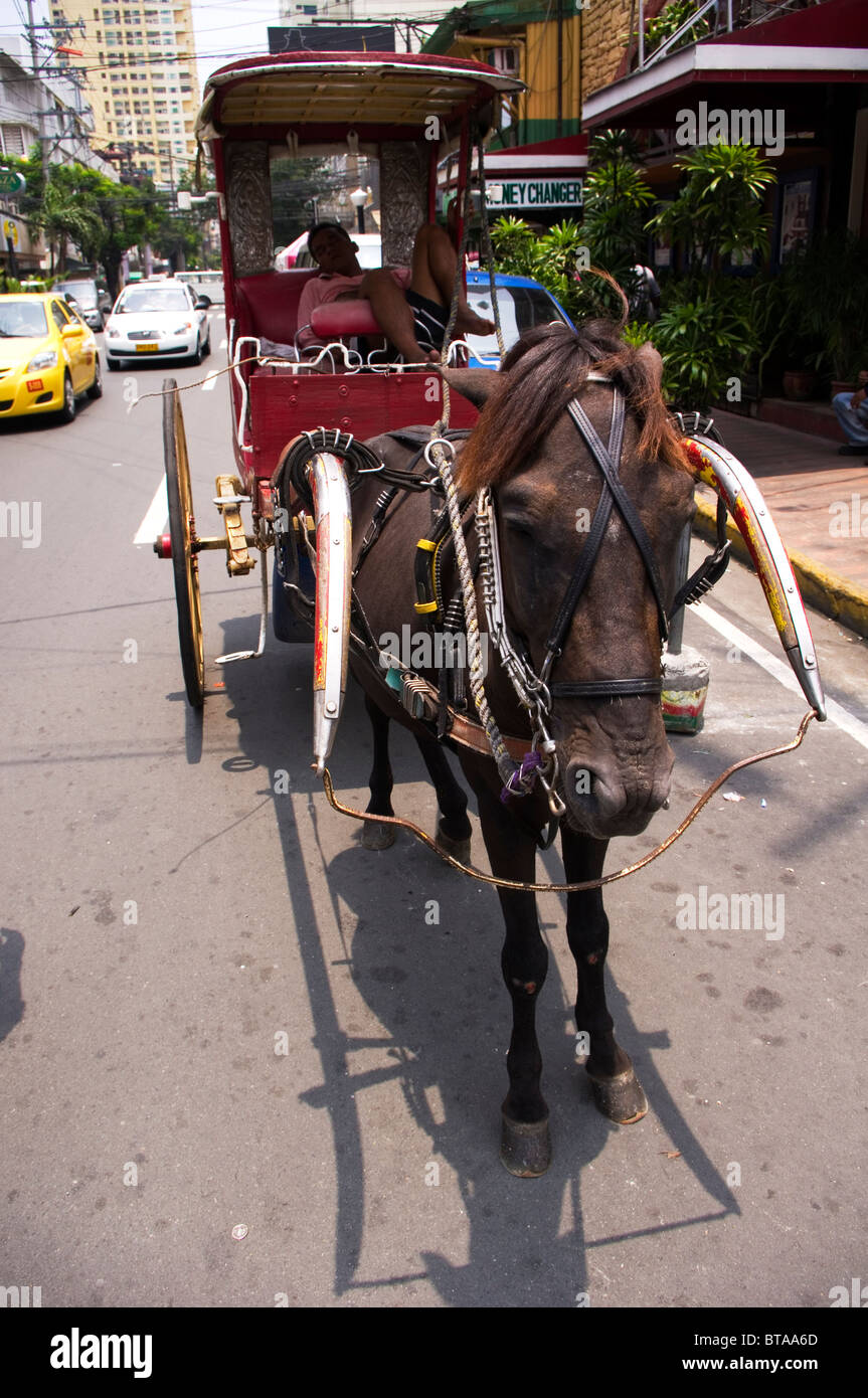 Philippines horse drawn carriage kalesa hi-res stock photography and ...