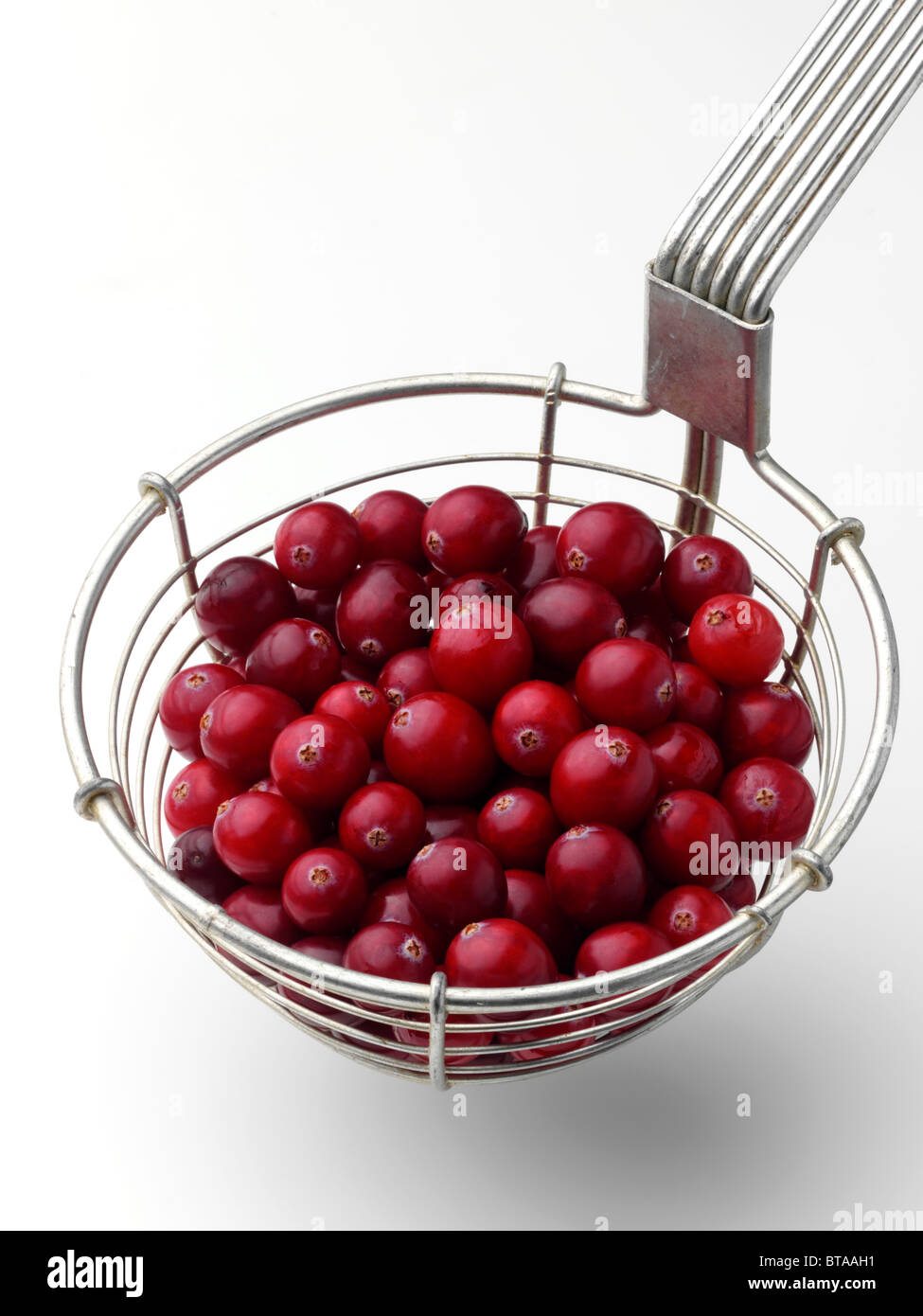 Bounceberries hi-res stock photography and images - Alamy