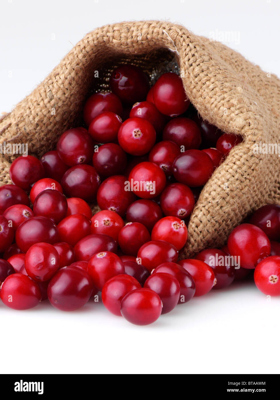 Ripe cranberries in a sack Stock Photo - Alamy