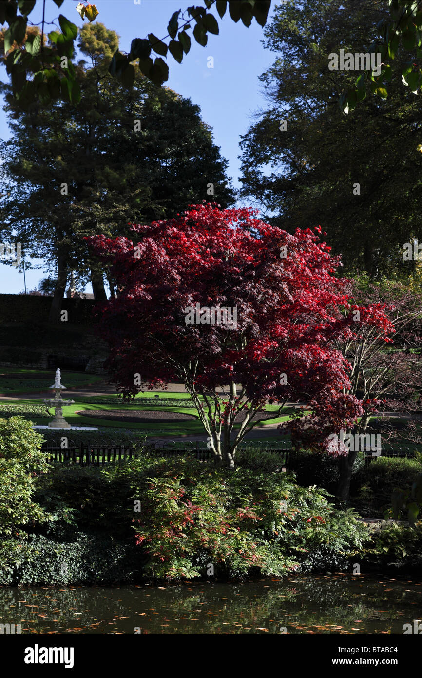 Set in the public gardens of The Dingle in Shrewsbury is this beautiful ...