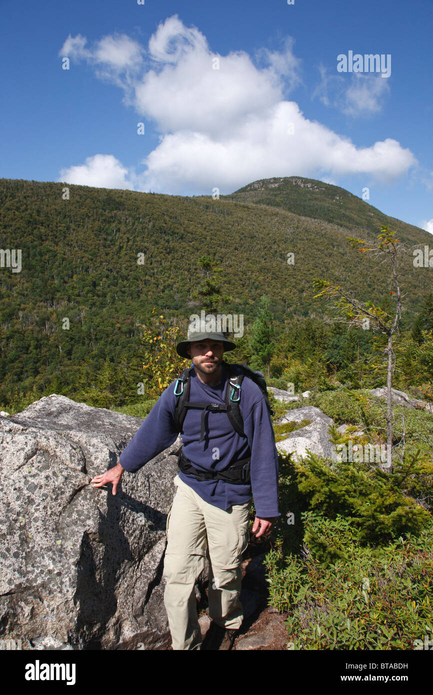 Zealand Notch - A hiker on the Zeacliff Trail during the summer months ...