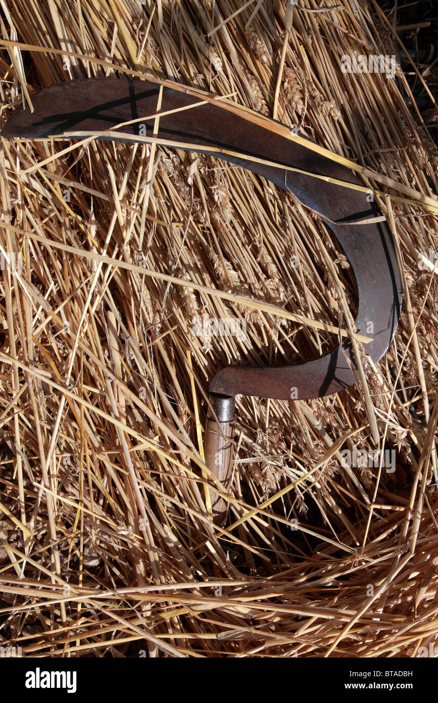 Thatching tools, Devon, England Stock Photo - Alamy