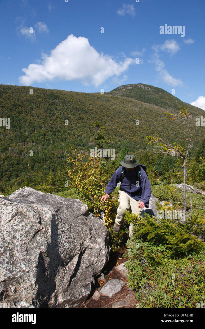 Zealand notch hi-res stock photography and images - Alamy