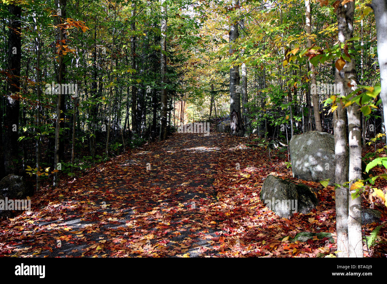 Flume road hi-res stock photography and images - Alamy
