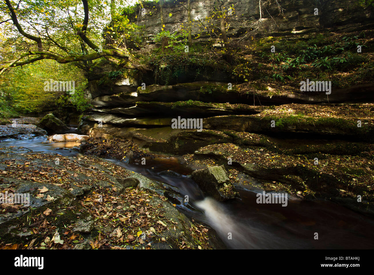 How Stean Gorge, Nidderdale near Pateley Bridge, North Yorkshire Stock ...