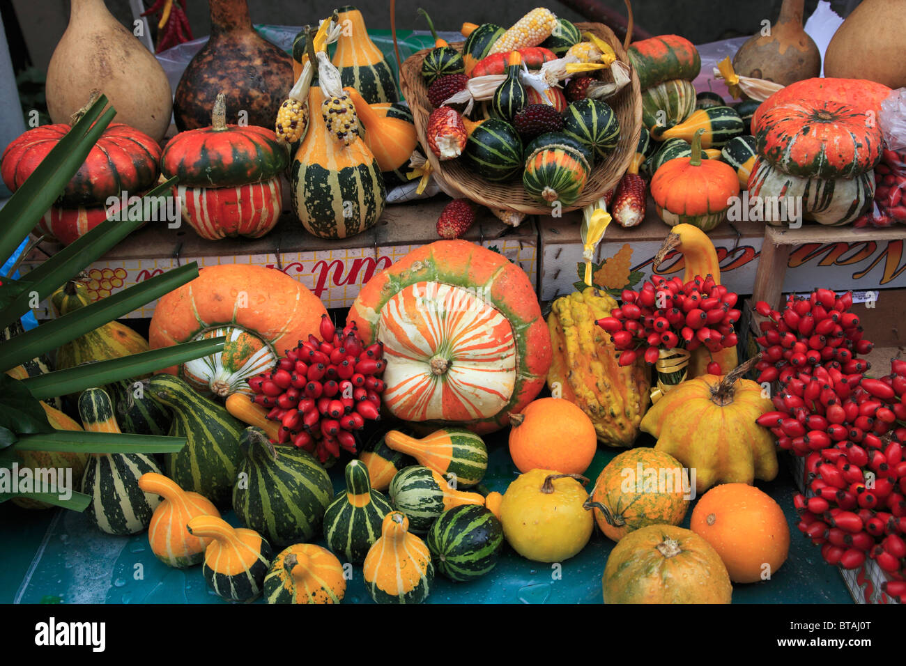Dolac market hi-res stock photography and images - Alamy