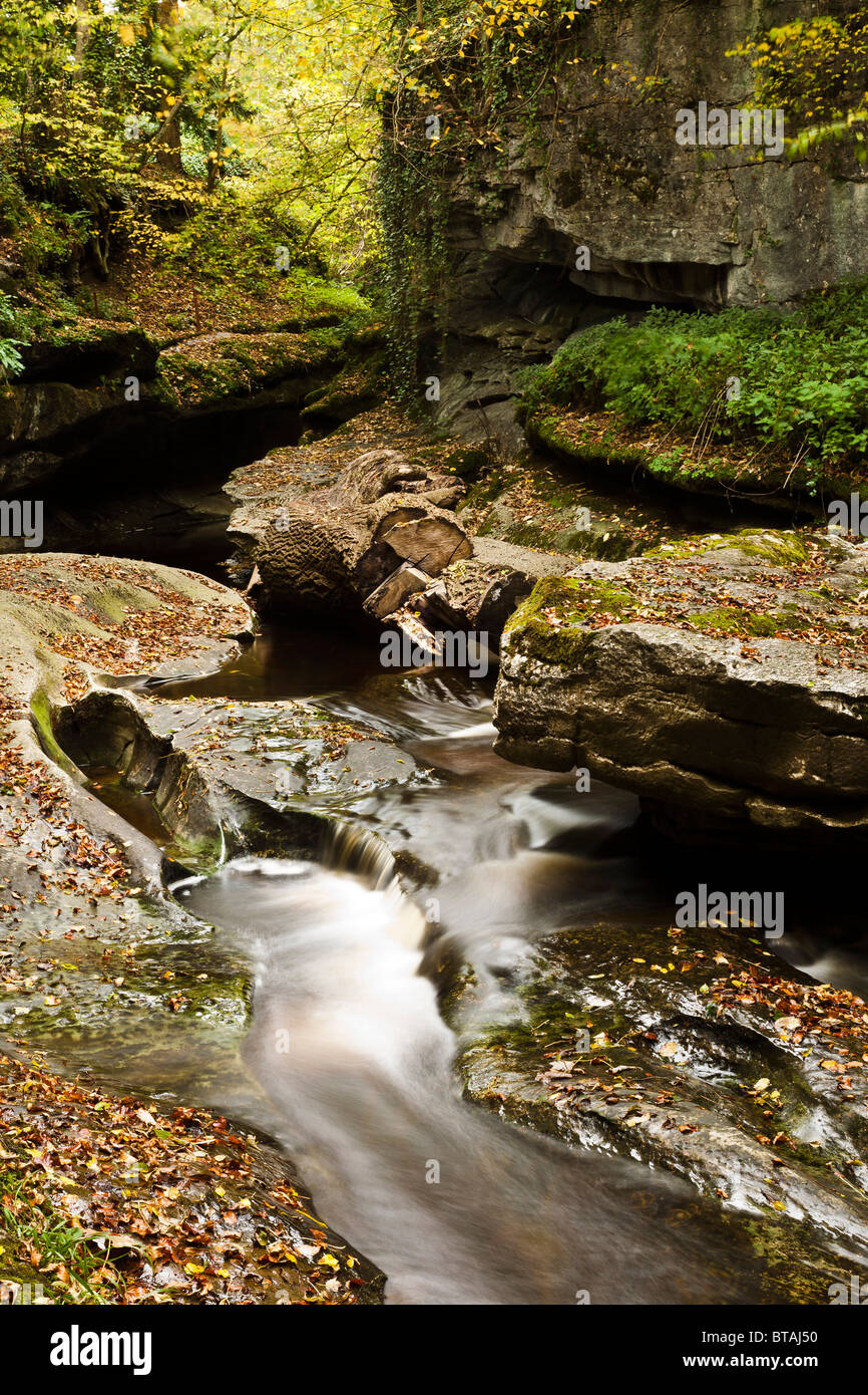 How Stean Gorge, Nidderdale near Pateley Bridge, North Yorkshire Stock ...