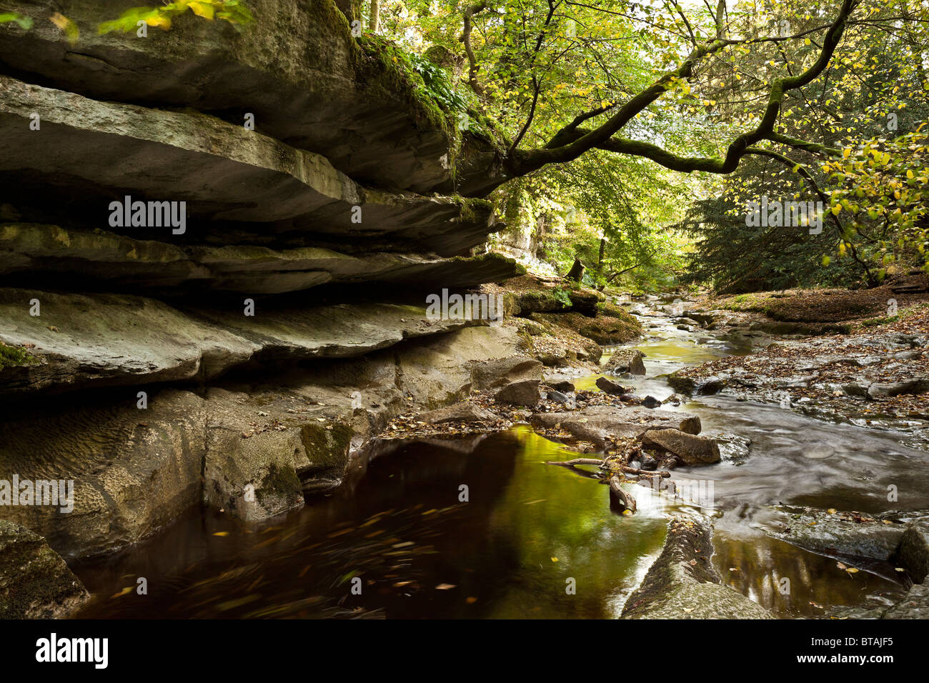 How Stean Gorge, Nidderdale near Pateley Bridge, North Yorkshire Stock ...