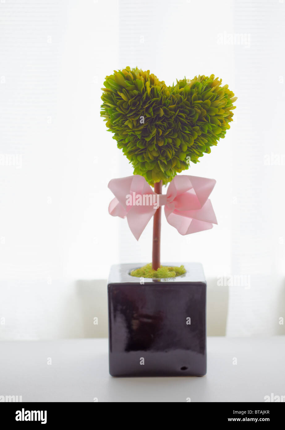 Heart shaped topiary Stock Photo - Alamy