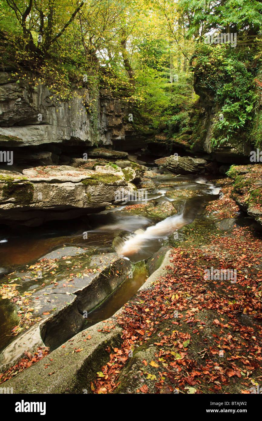 How Stean Gorge, Nidderdale near Pateley Bridge, North Yorkshire Stock ...