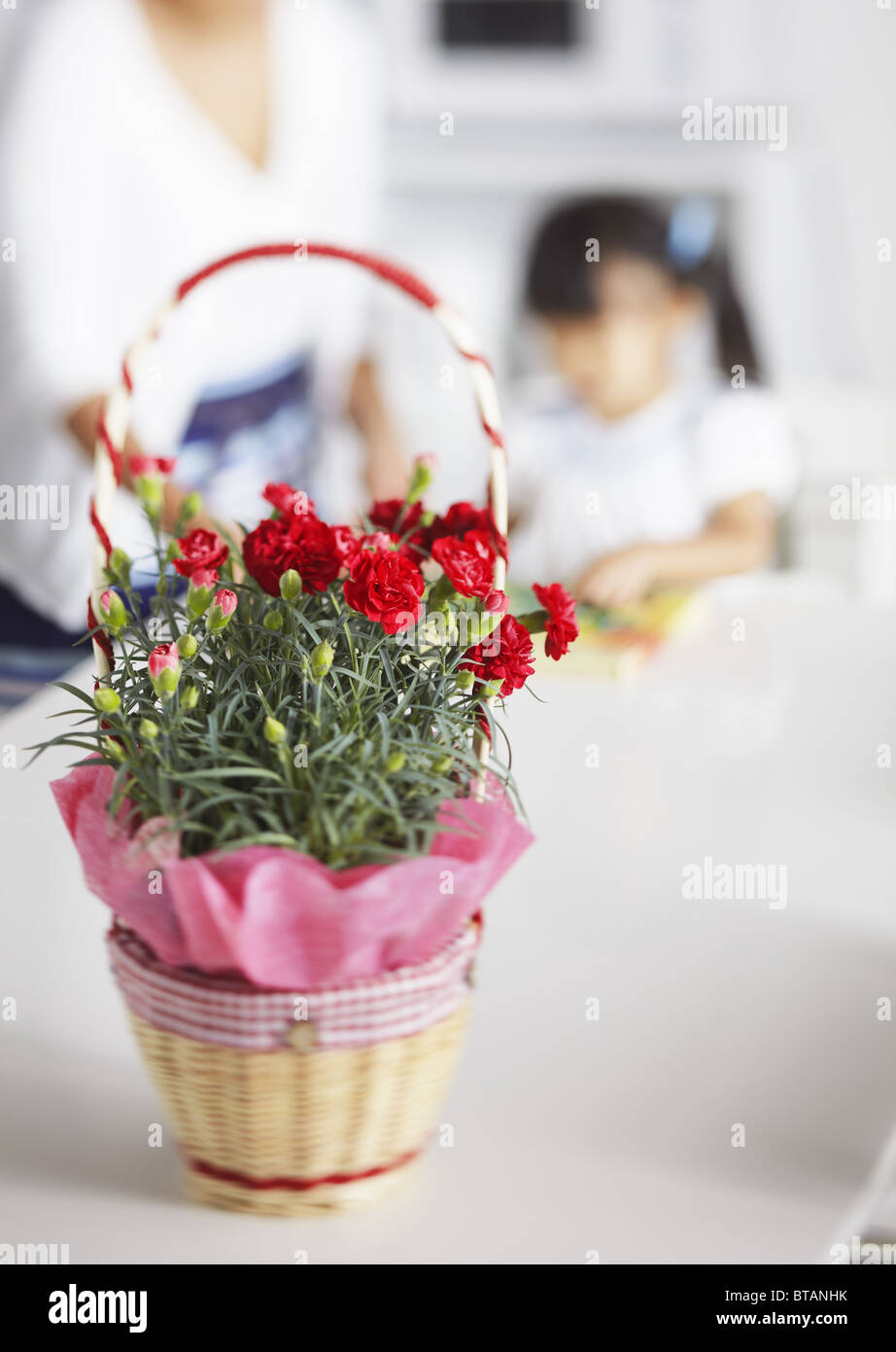 Image of girl with carnation hi-res stock photography and images - Alamy