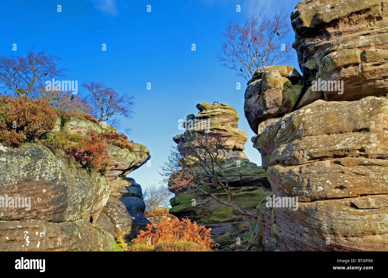 Brimham famous rocks in yorkshire Stock Photo - Alamy