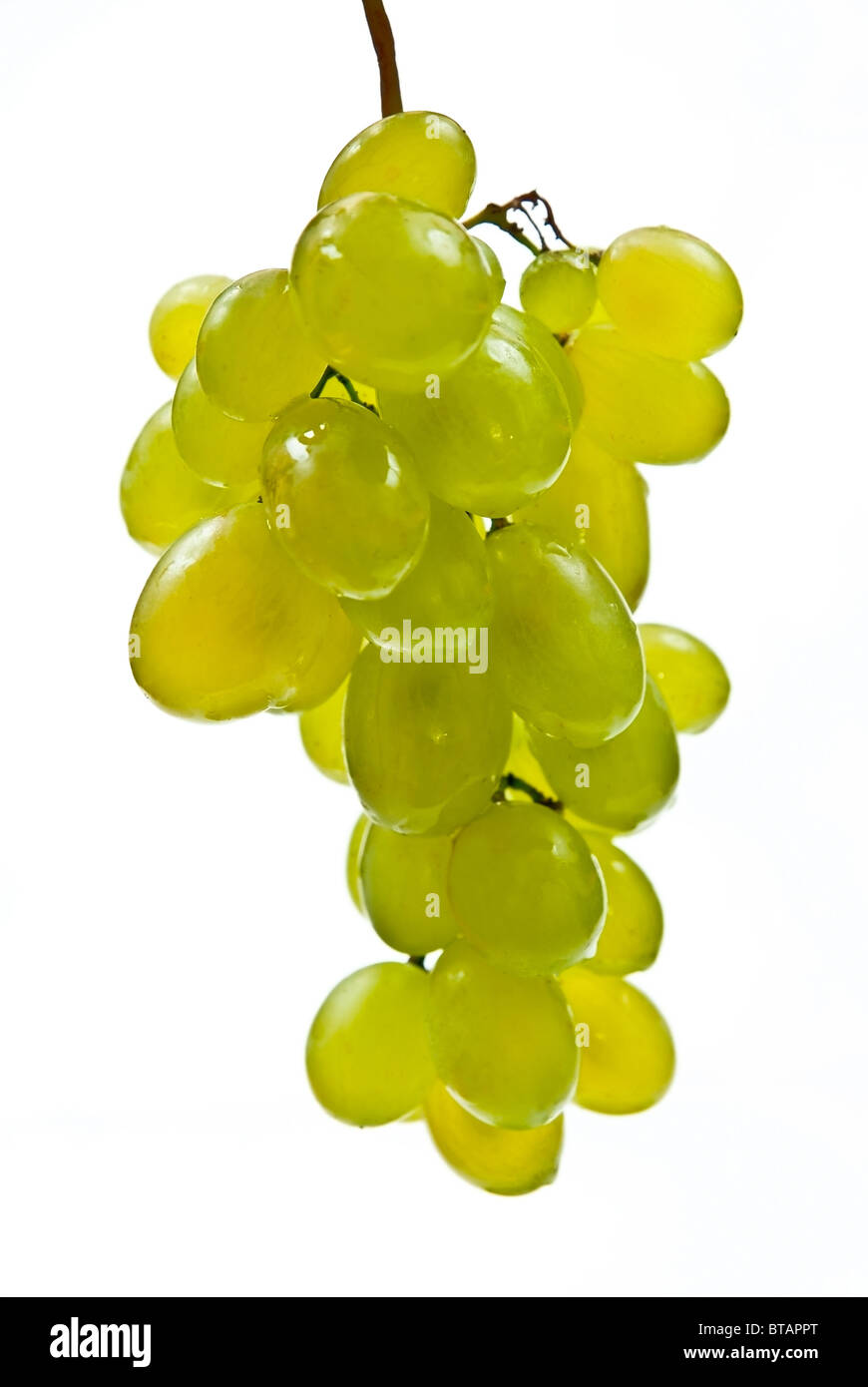 Grapes vertical Cut Out Stock Images & Pictures - Alamy