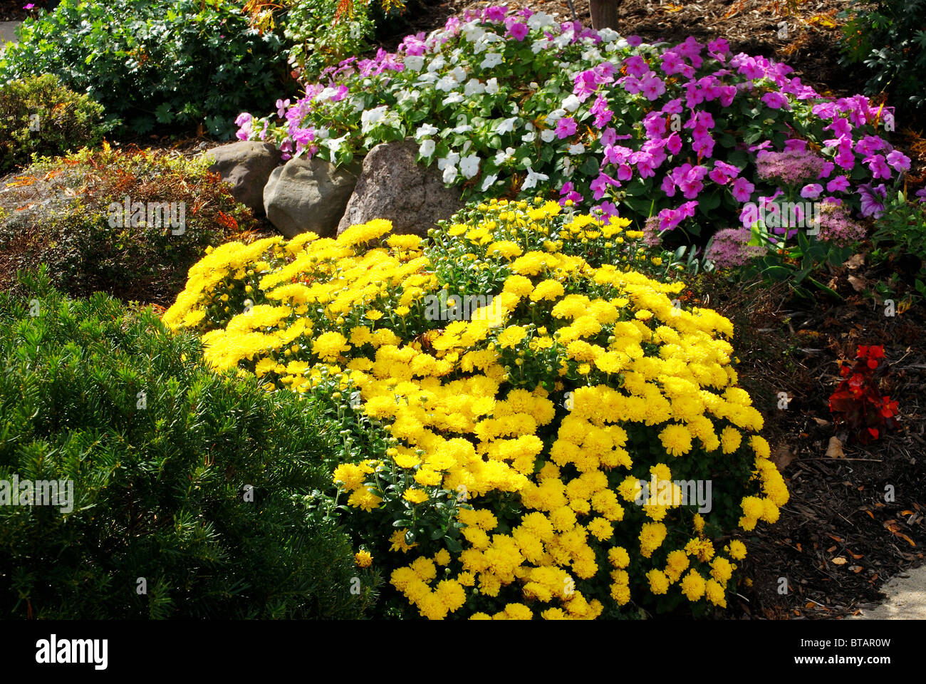 Fall rock garden Stock Photo - Alamy