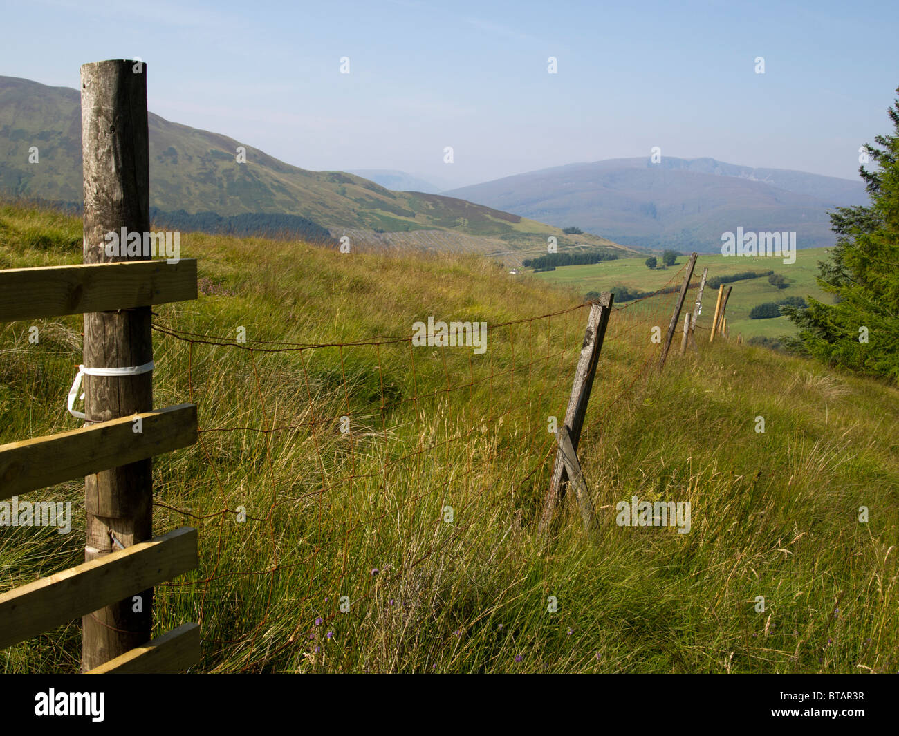 fenced pasture, West Highlands, Scotland Stock Photo - Alamy