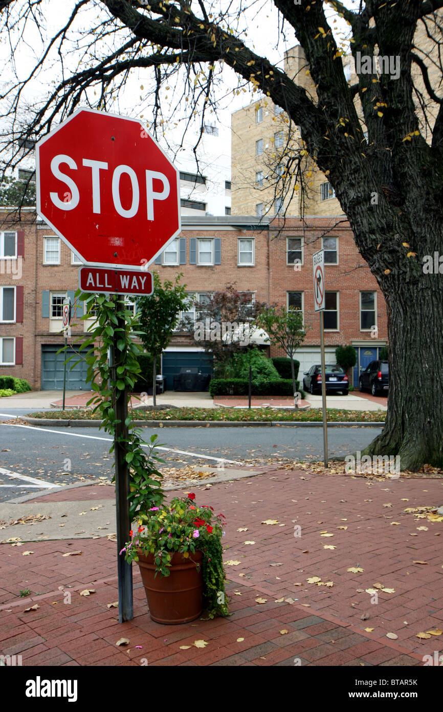 Stop sign a plant at Washington DC Stock Photo - Alamy