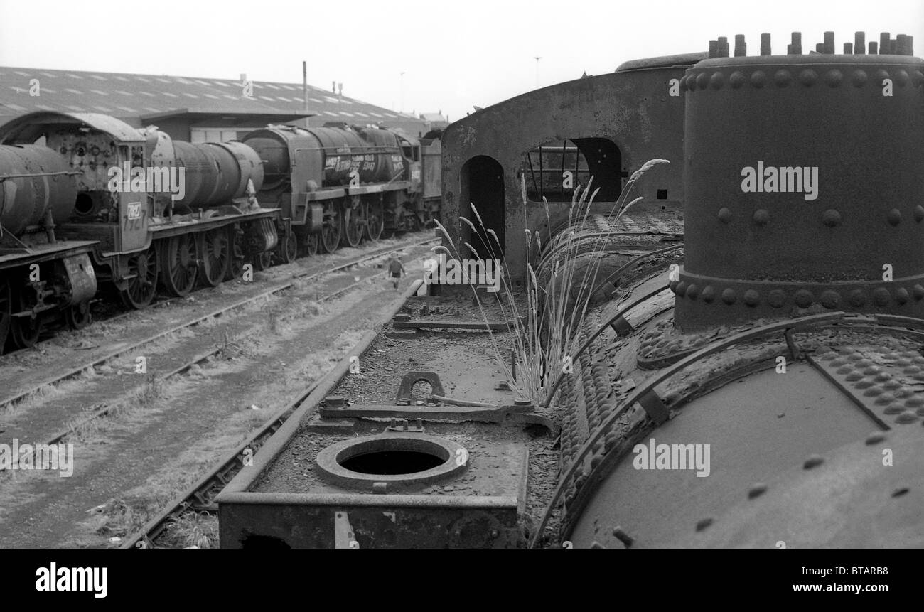 Locomotive scrapyard wales hi-res stock photography and images - Alamy