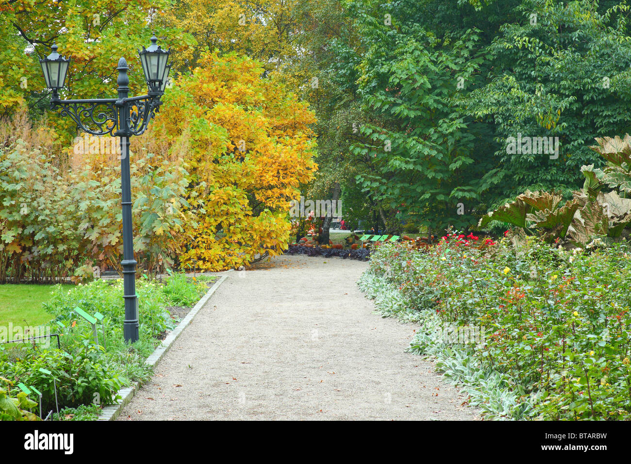 Graden wroclaw poland hi-res stock photography and images - Alamy