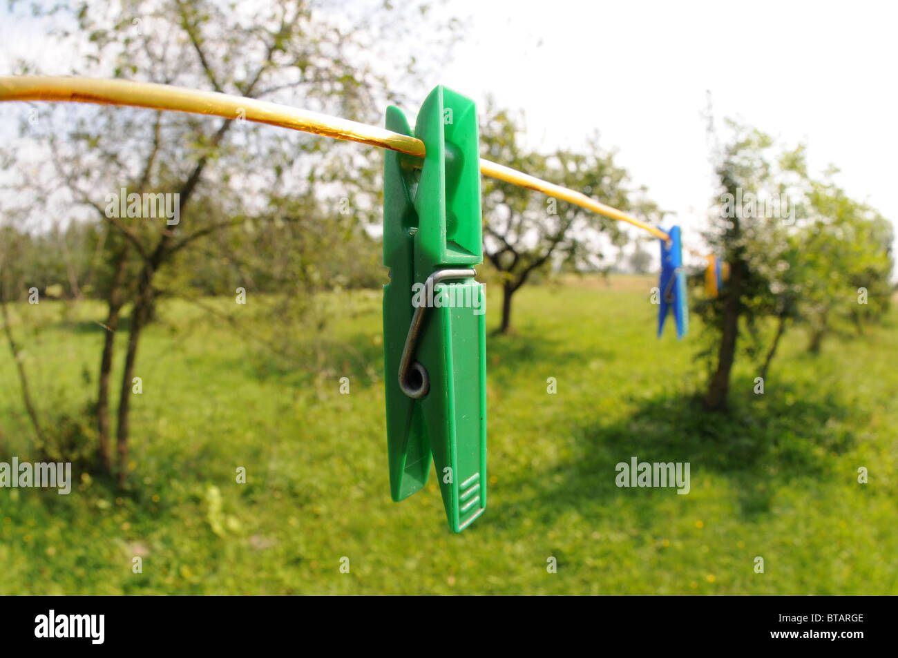 Plastic fish eye lens hi-res stock photography and images - Alamy