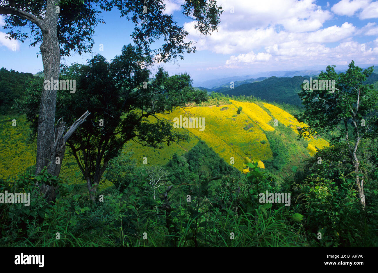 Panoramic view of Golden Triangle Stock Photo - Alamy