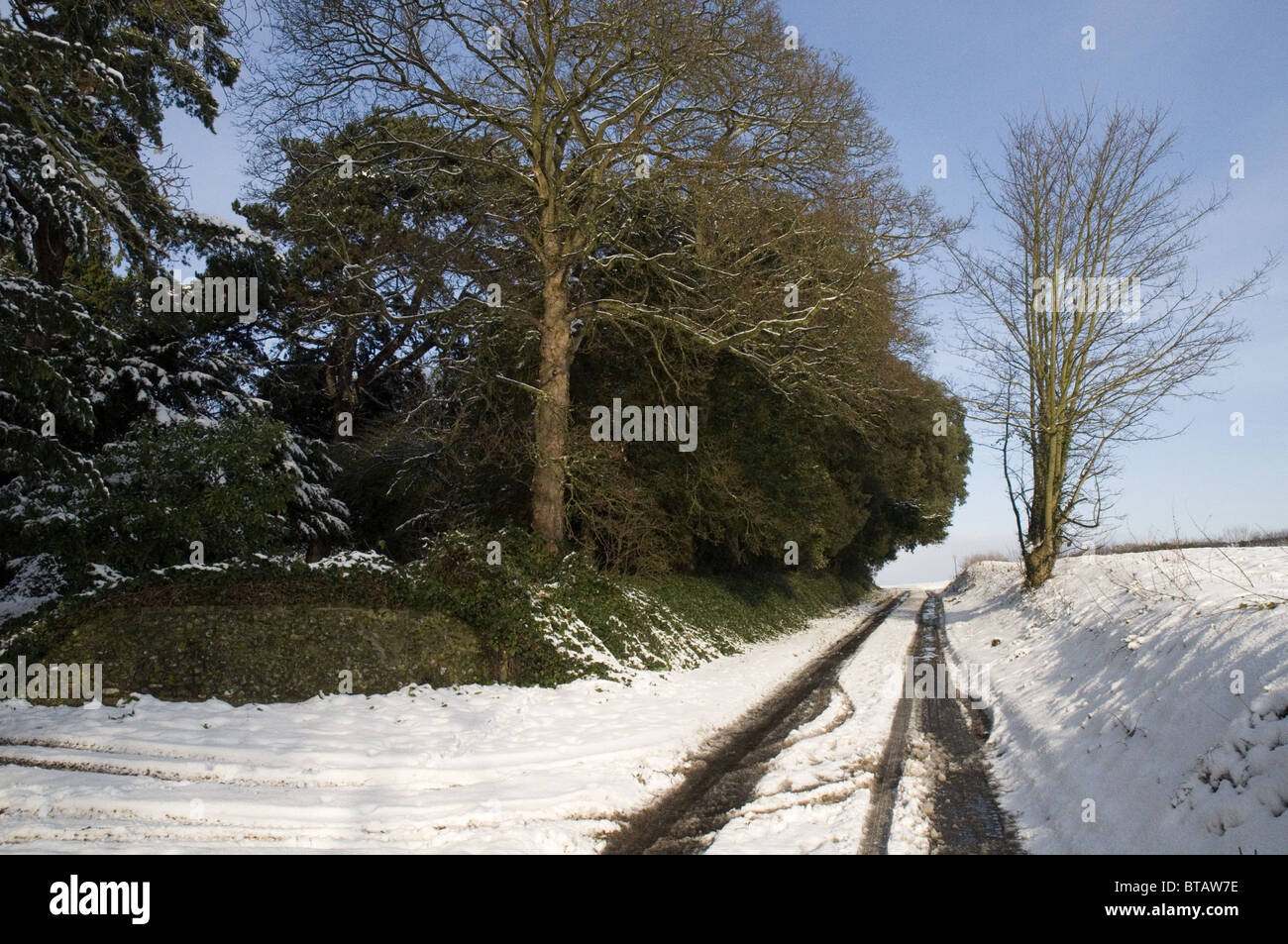 Country lane under snow Stock Photo - Alamy