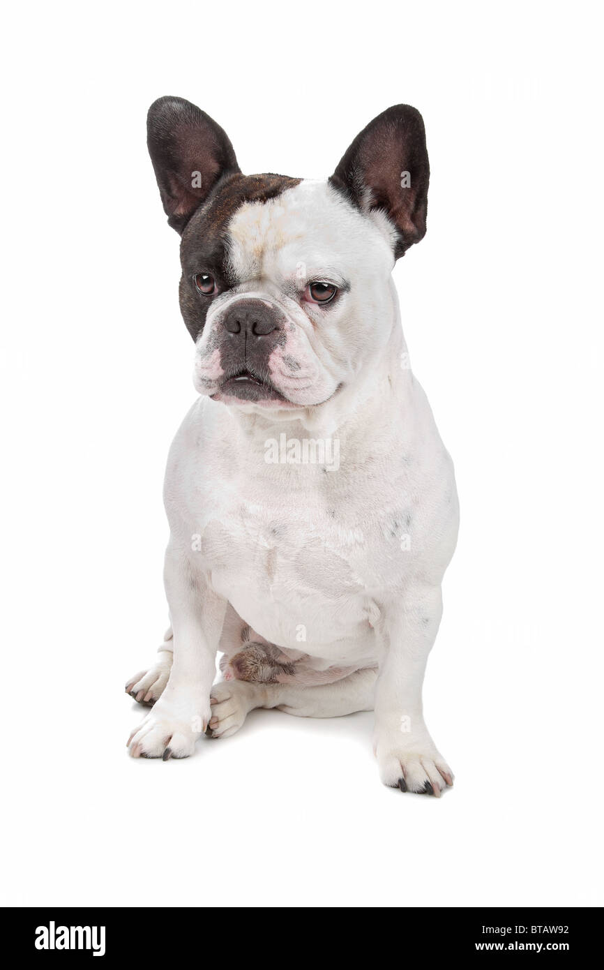 French beige Cut Out Stock Images & Pictures - Alamy