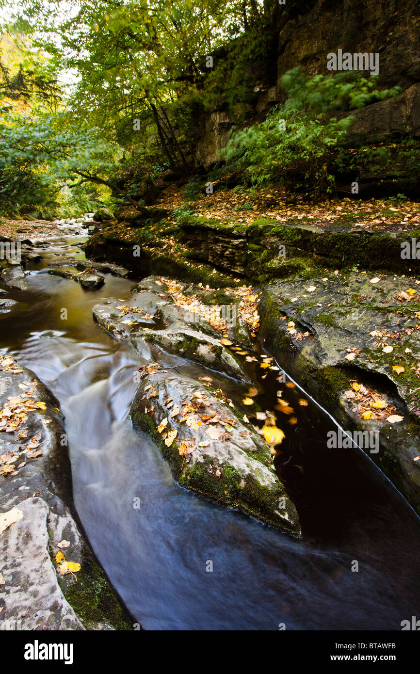 How Stean Gorge, Nidderdale near Pateley Bridge, North Yorkshire Stock ...