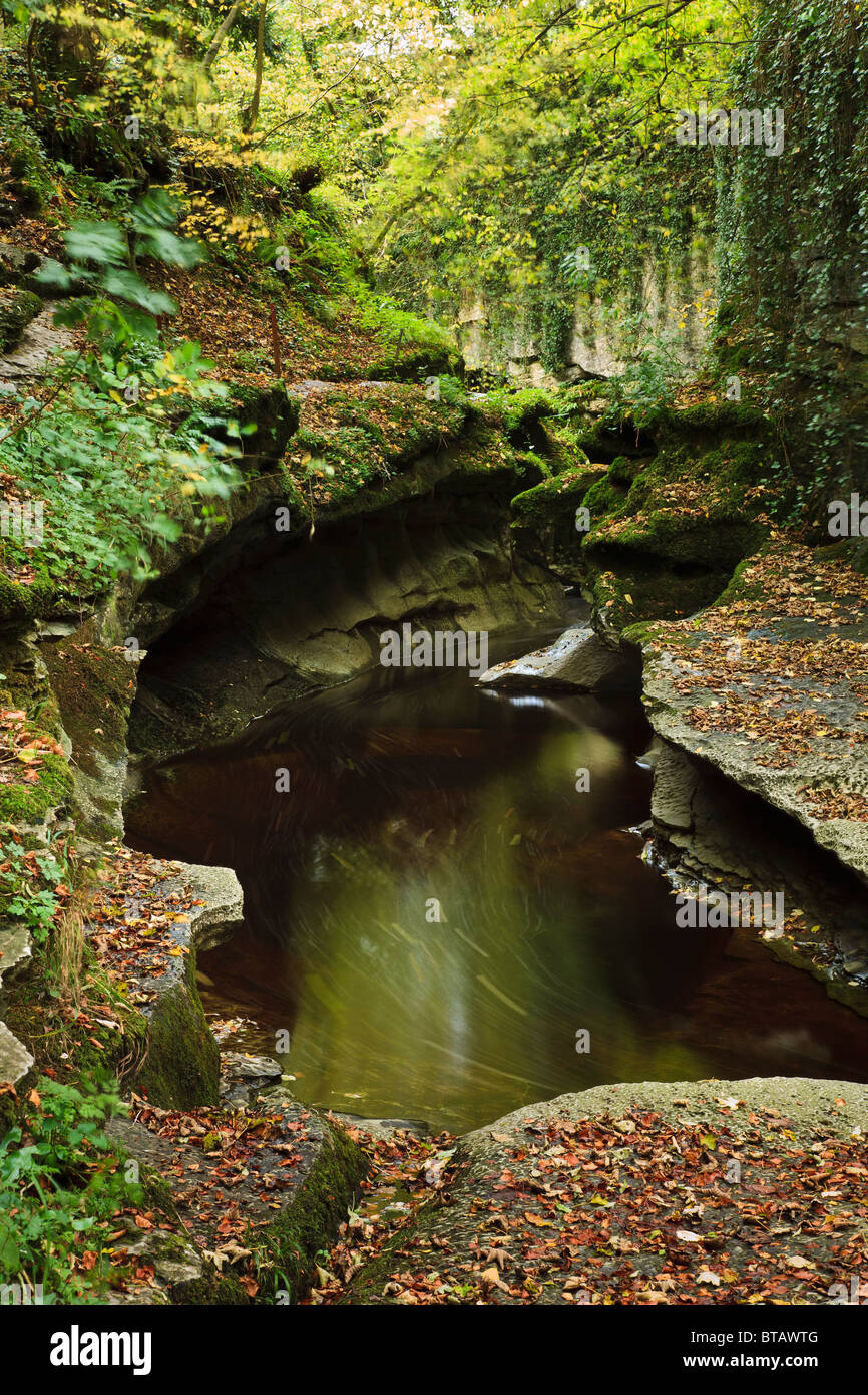 How Stean Gorge, Nidderdale near Pateley Bridge, North Yorkshire Stock ...