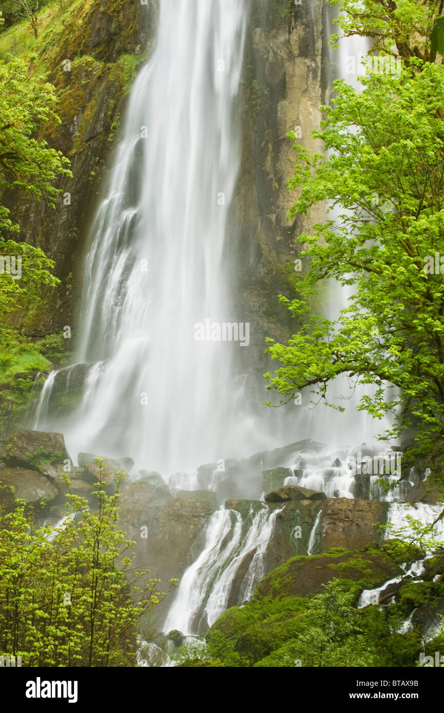 Silver river hi-res stock photography and images - Alamy