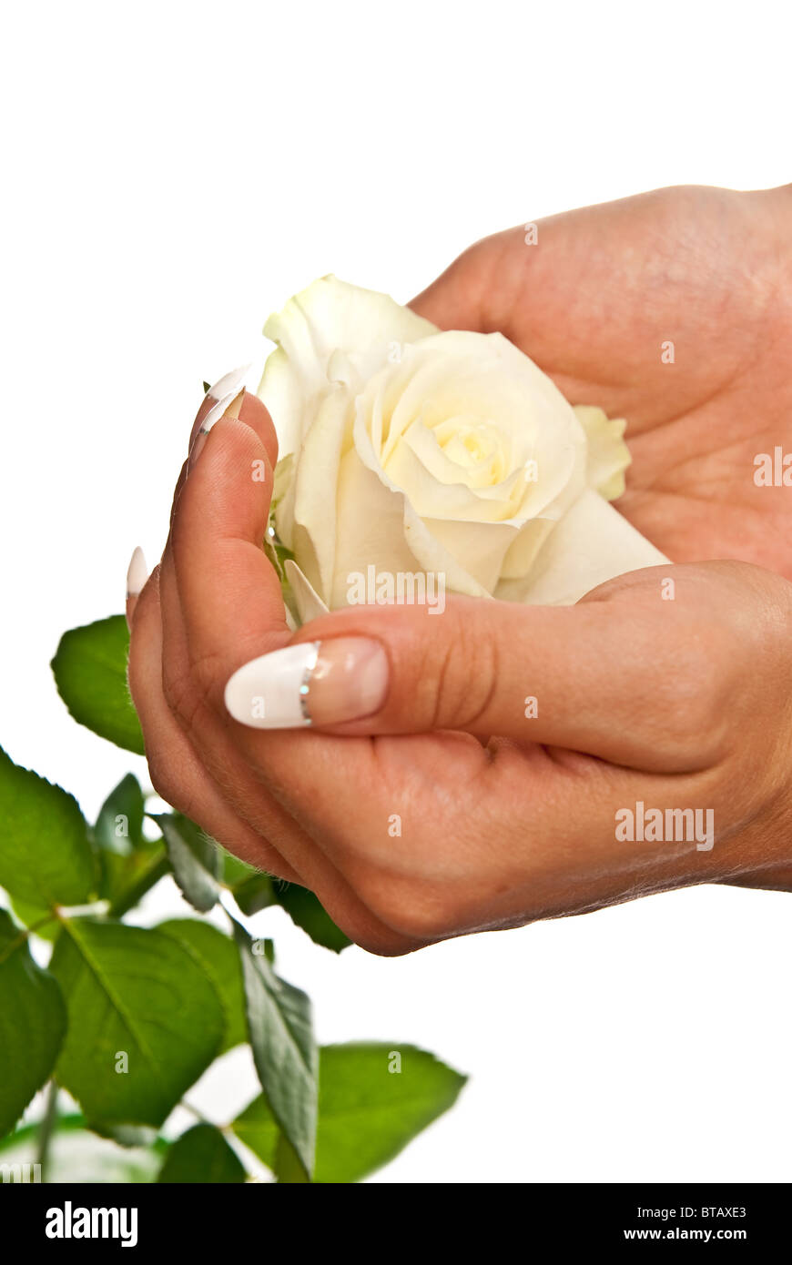 Hands with rose Stock Photo - Alamy