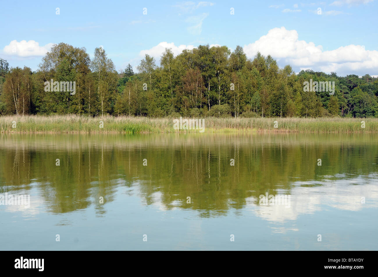 Lanskie lake near Lansk village, Olsztynskie Lakeland - part of ...
