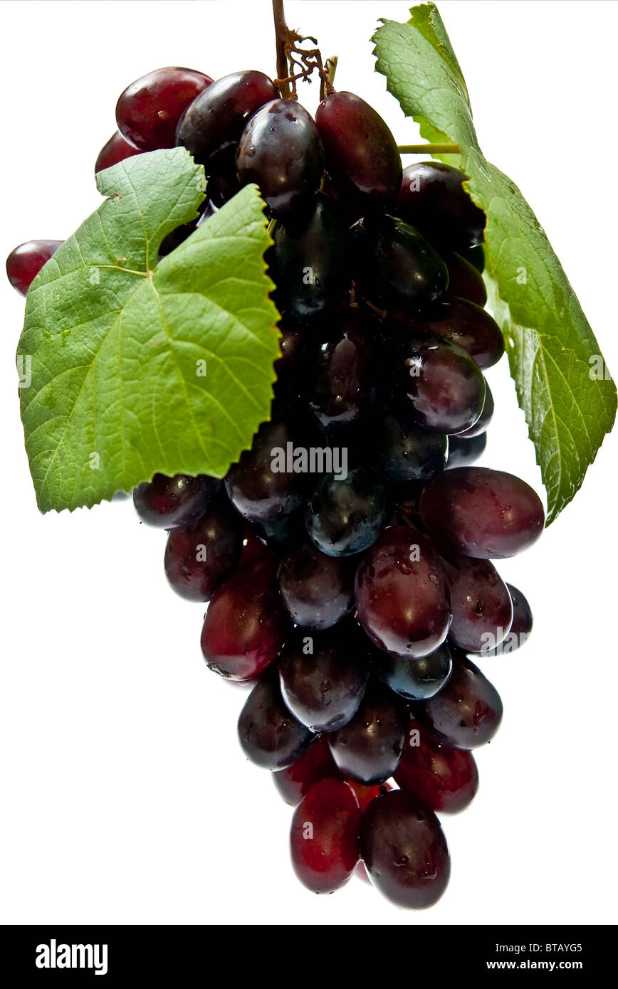 Close up image grape Cut Out Stock Images & Pictures - Alamy
