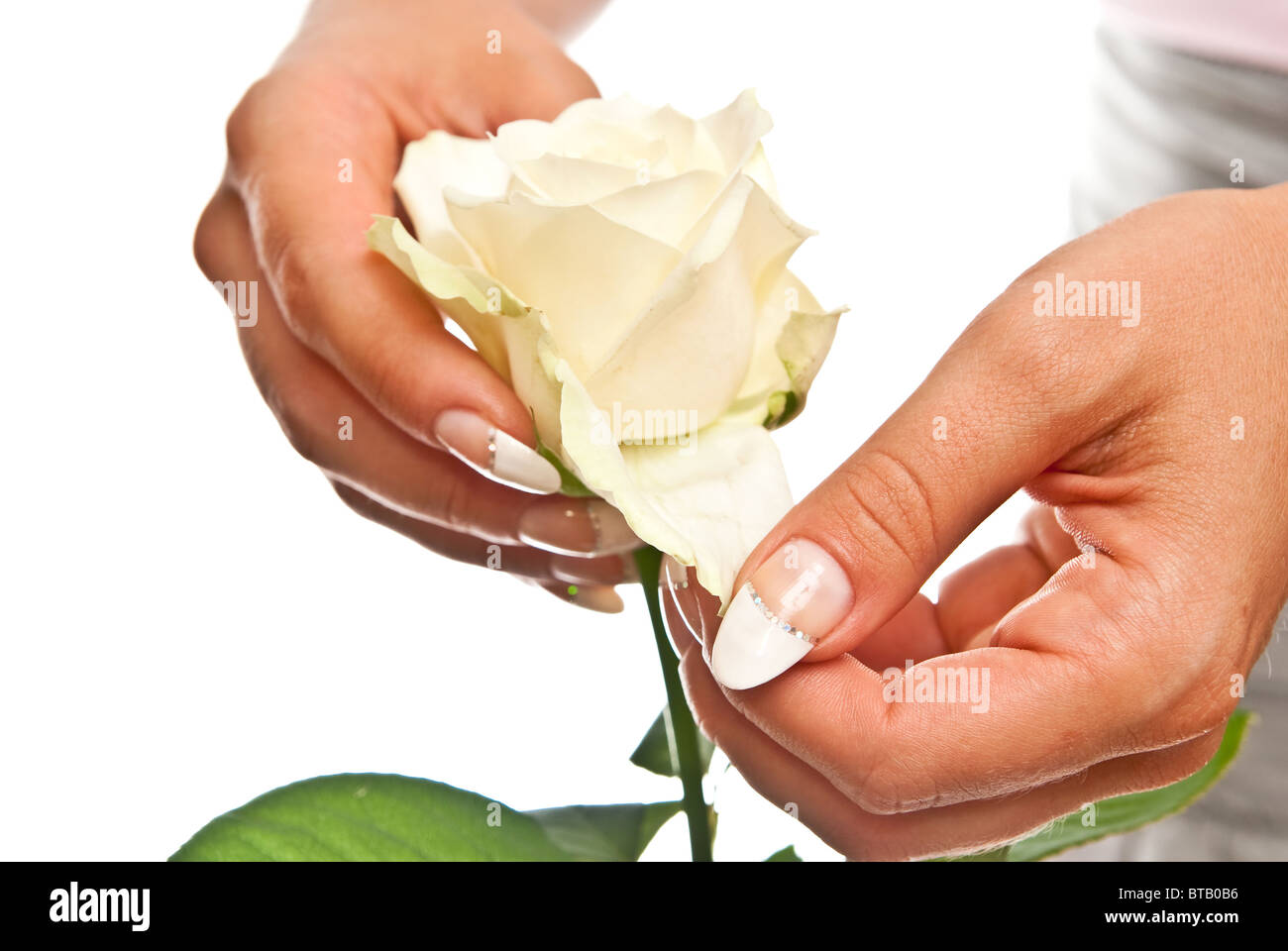Hands with rose Stock Photo - Alamy