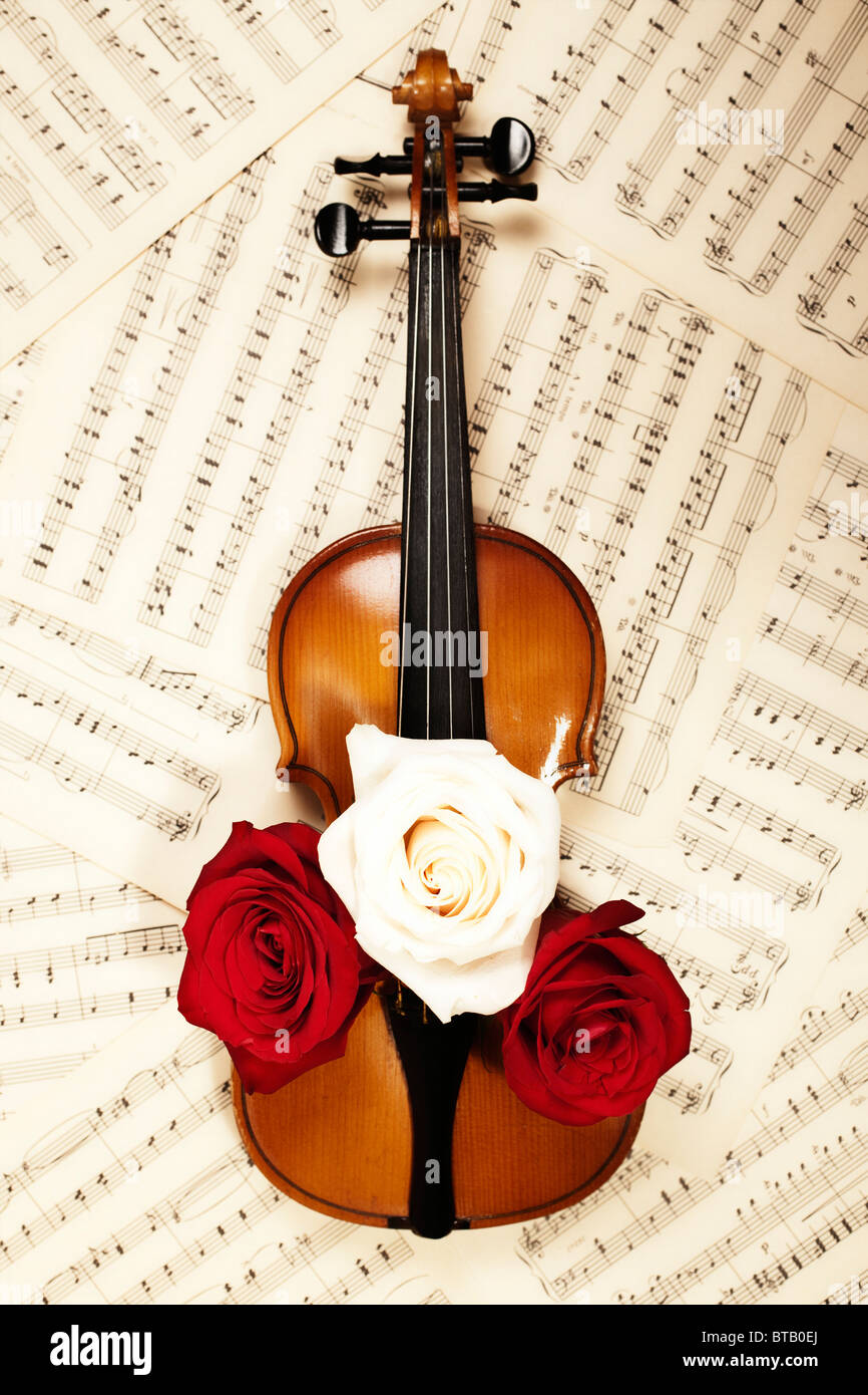 old violin with musical notes and roses closeup Stock Photo - Alamy