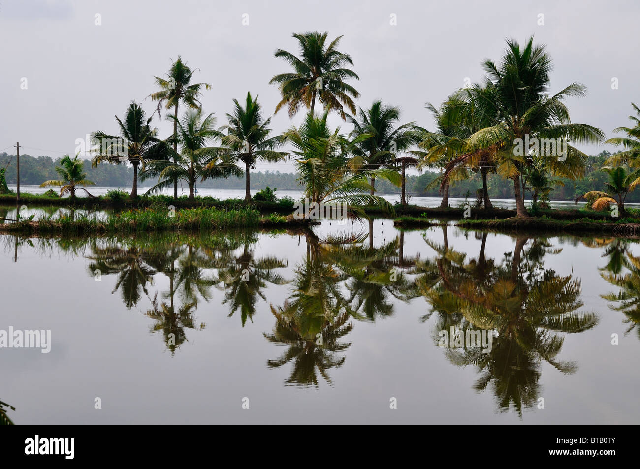 Beauty of backwaters hi-res stock photography and images - Alamy