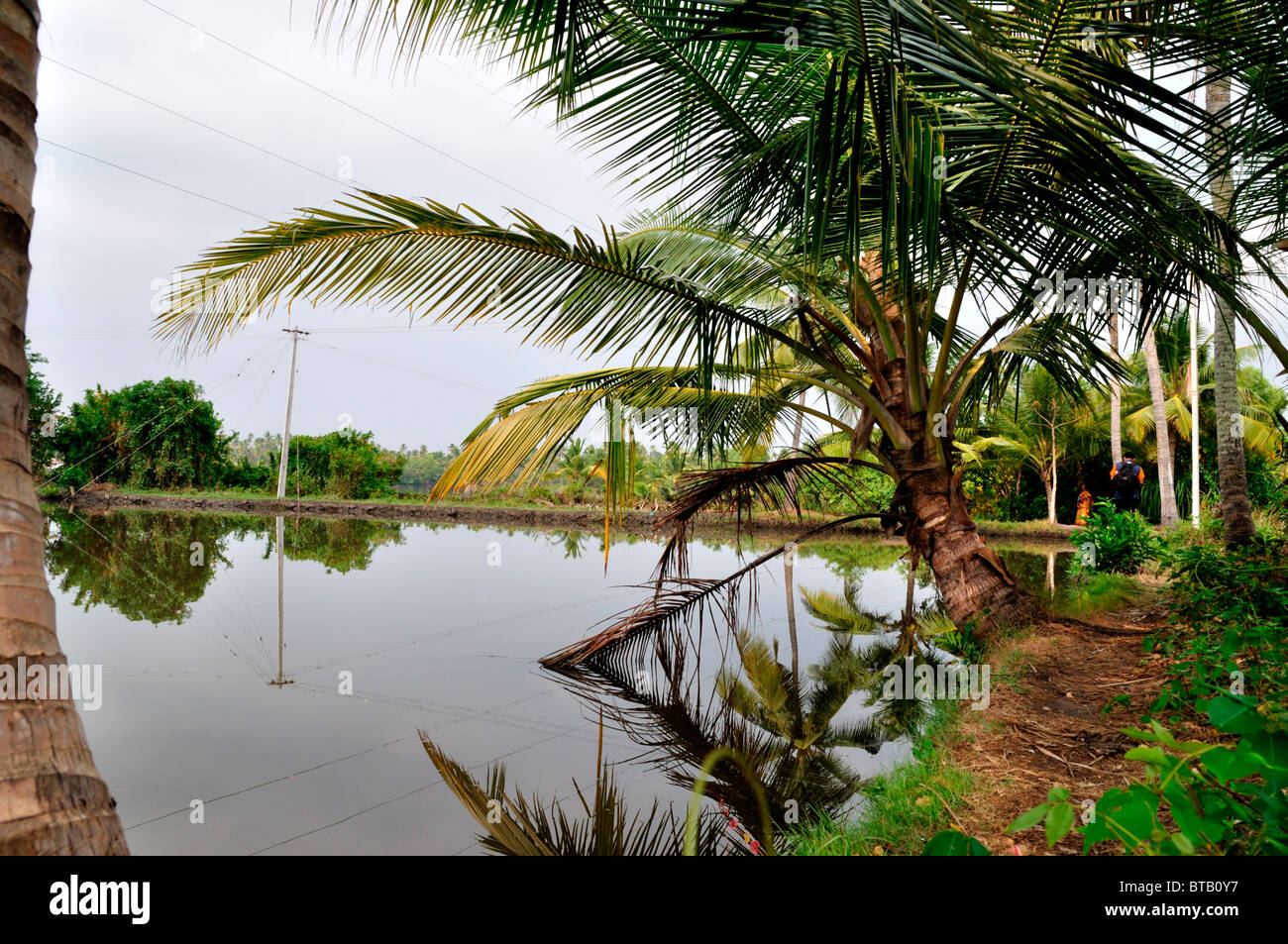 Landscape of kerala hi-res stock photography and images - Alamy