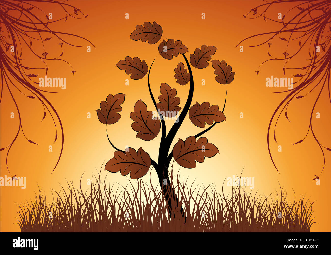 Red tree sunset with leaves and grass Stock Photo - Alamy