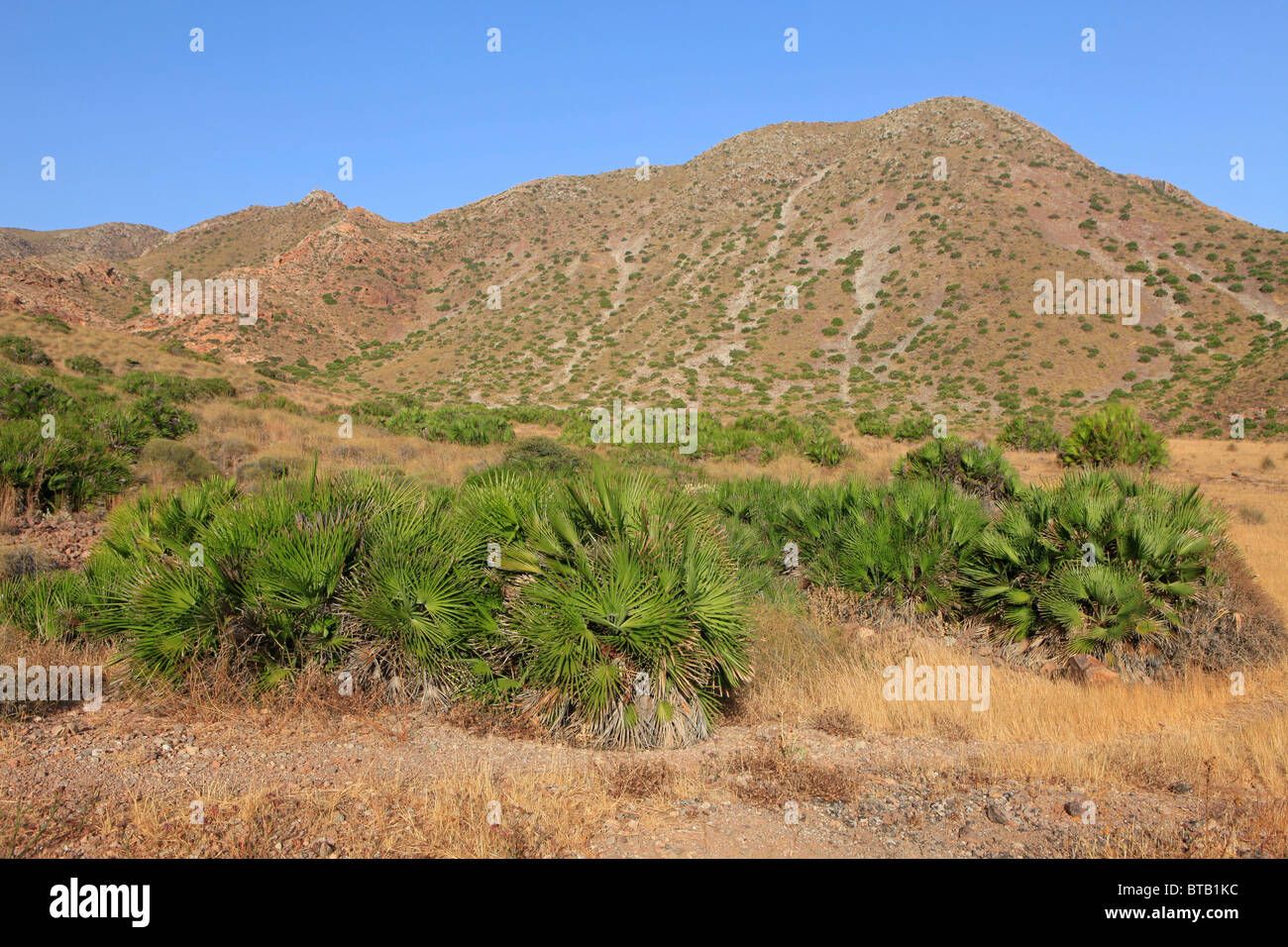 Cabo de Gata-Nijar Natural Park in Southern Spain Stock Photo - Alamy