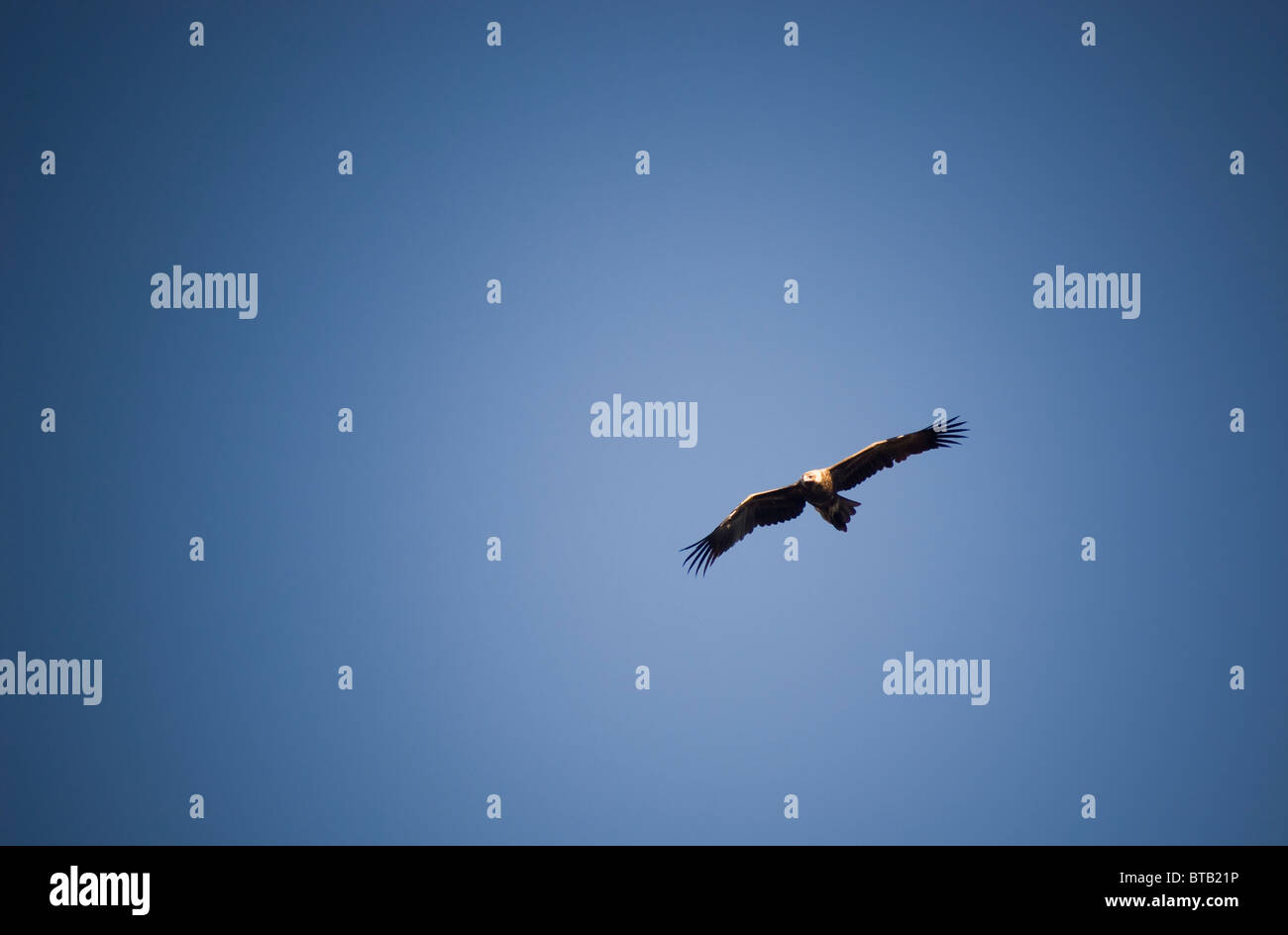 Tail lift hi-res stock photography and images - Alamy